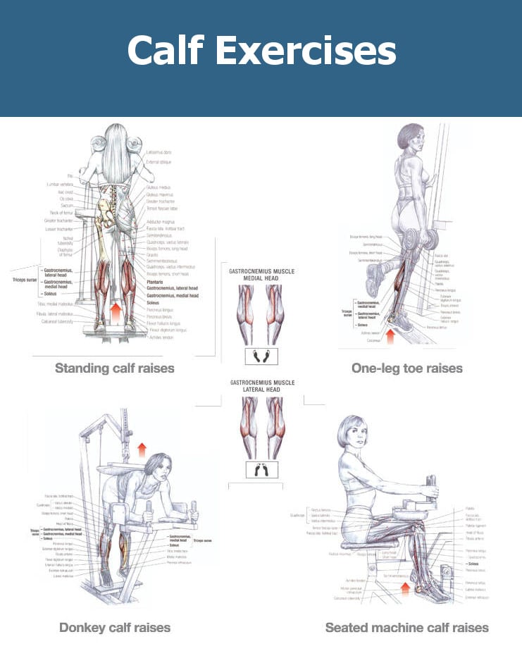 The Best Calf Workout for Mass – Growing the Most Stubborn Muscle ... The Best Calf Workout for Mass – Growing the Most Stubborn Muscle ...